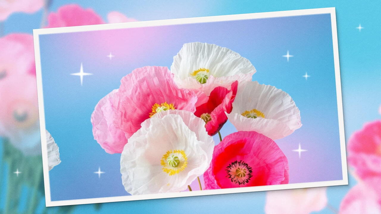 Приложения Flowwow для покупателей, продавцов или курьеров