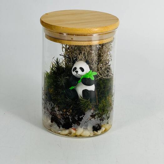 Живой мох в закрытом флорариуме колбе с пандой, Живые растения в ...