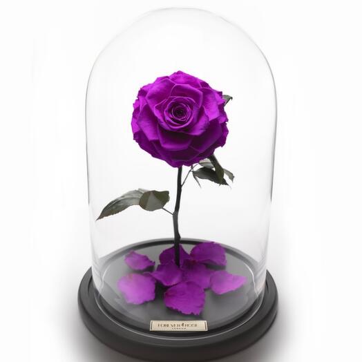 Роза в колбе в Москве • Flowwow • Купить розу в колбе с доставкой